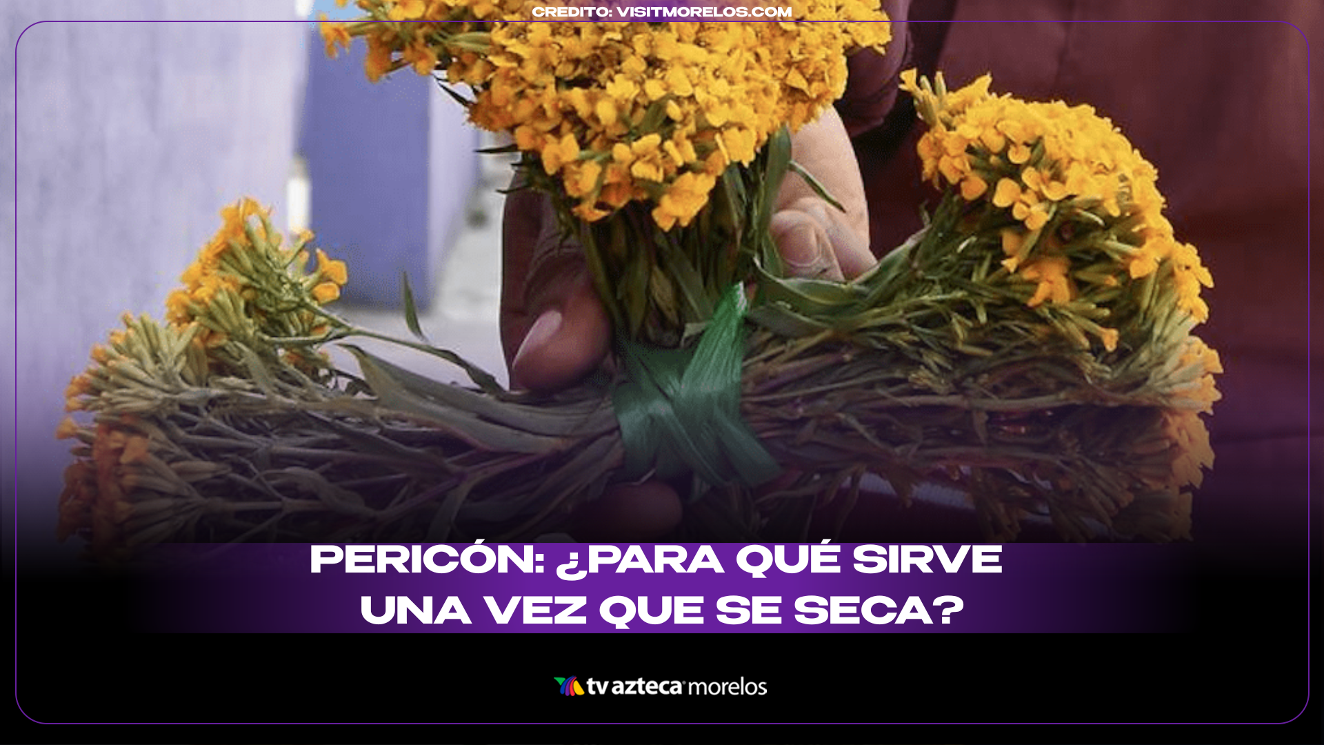 Pericón: ¿para qué sirve una vez que se seca?