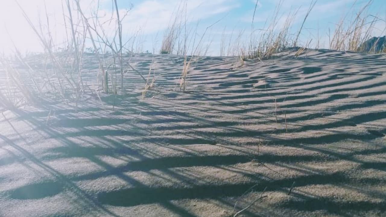 Samalayuca: Un Tesoro Natural en el Desierto