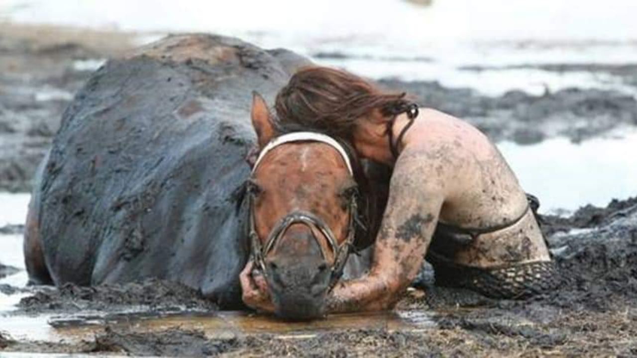 El milagroso rescate de Nicole Graham; su caballo quedó atrapado y ella ...