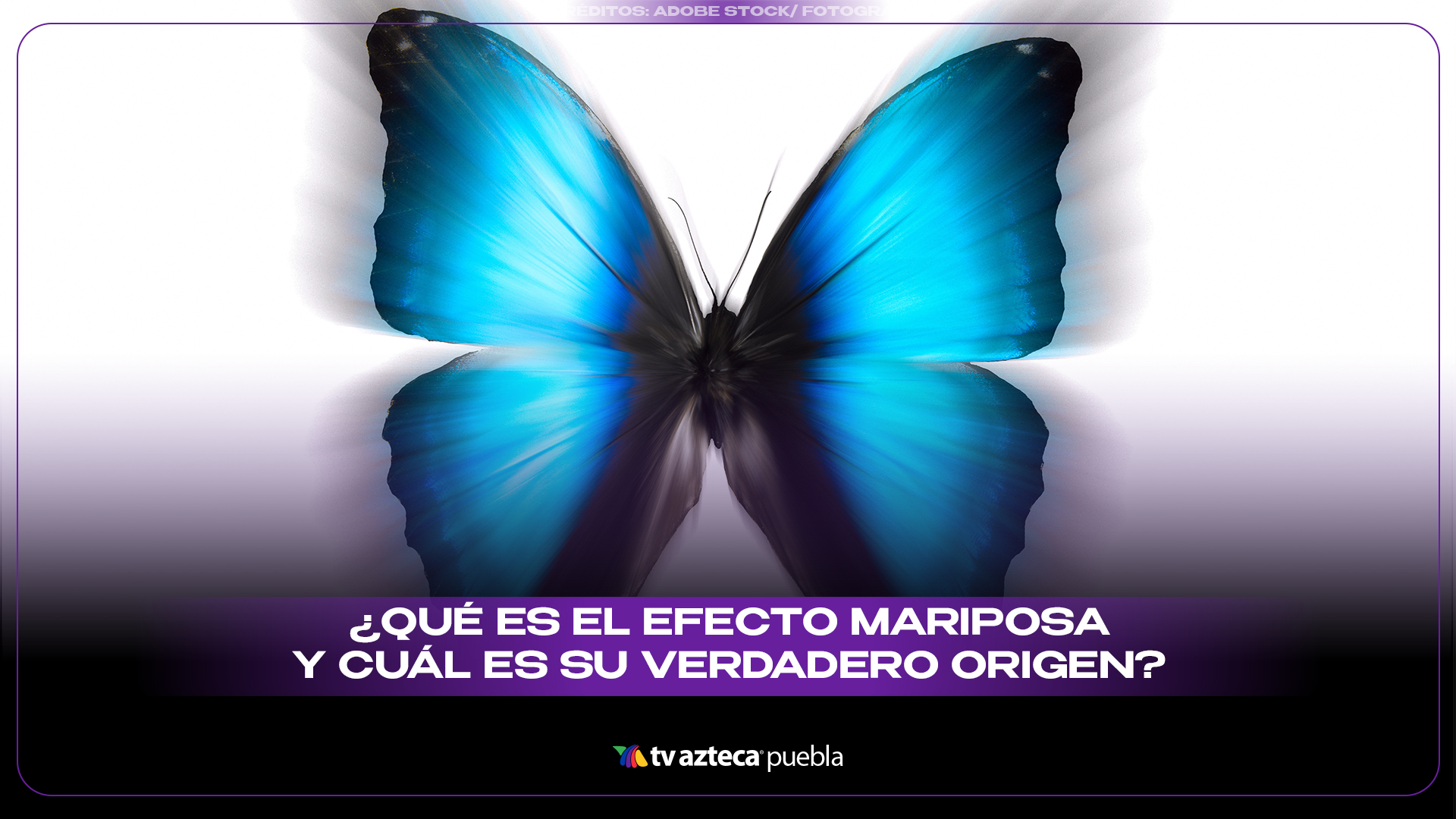 Explicación científica del efecto mariposa y su relación con el caos