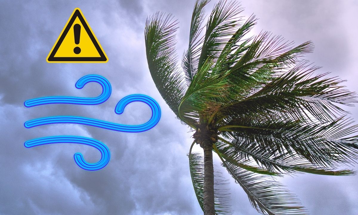 Norte en Veracruz: ¿A qué hora ingresarán las rachas máximas hoy 16 de febrero de 2025?