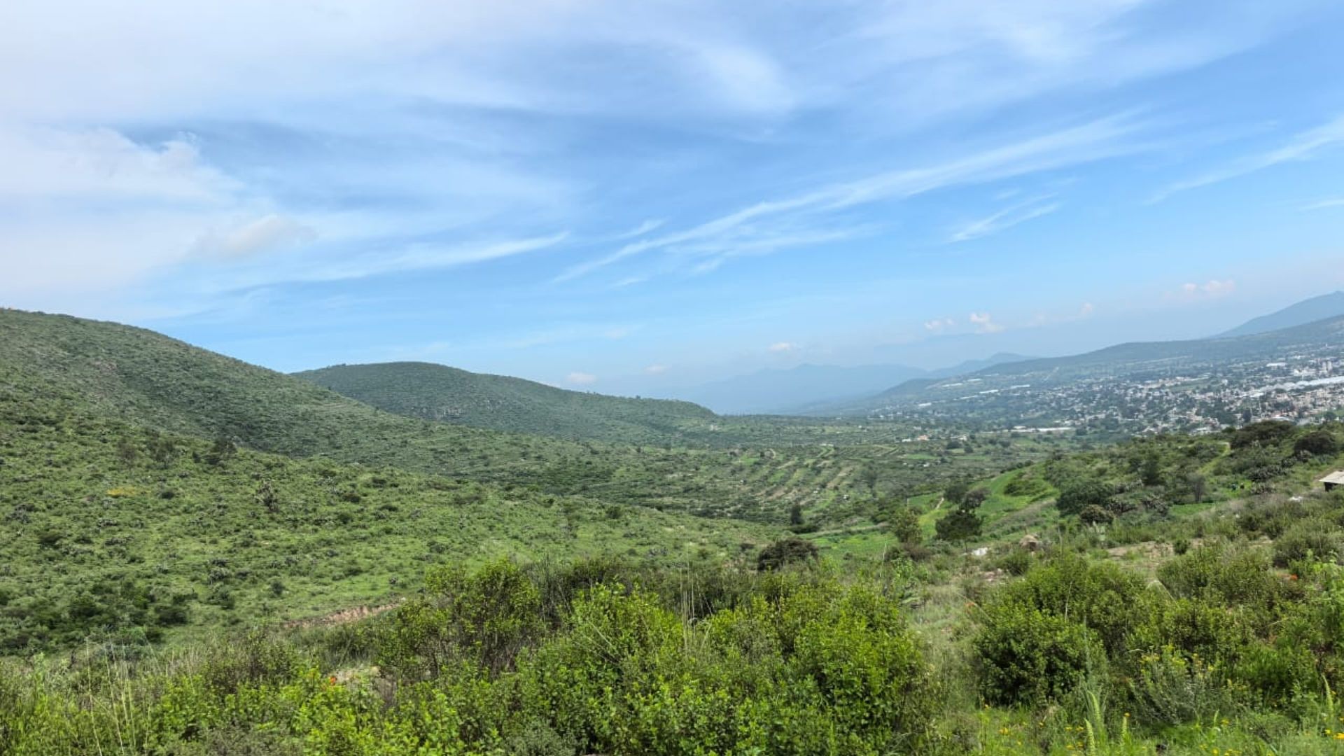 Clima en Querétaro HOY miércoles 23 de julio de 2025