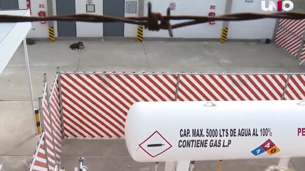 Instalación de gasera tiene preocuados a habitantes de Cuautlancingo