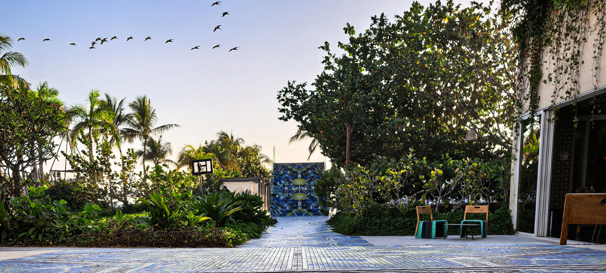 10 años de W Punta Mita: Por qué sigue siendo el referente de diseño y ...