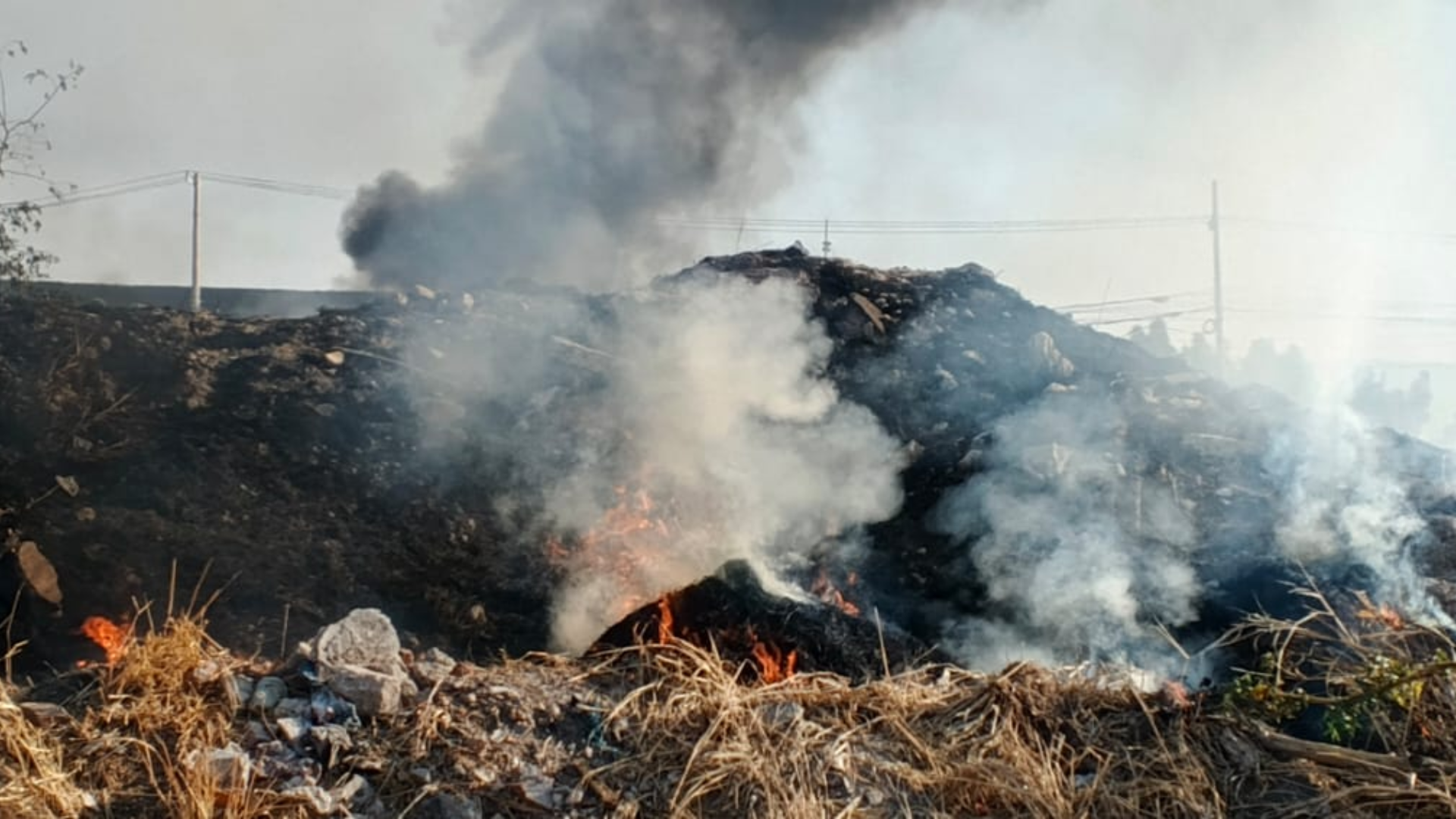 Incendio en la colonia Rosa Blanca de Celaya 1 de abril 2025: Consumie ...