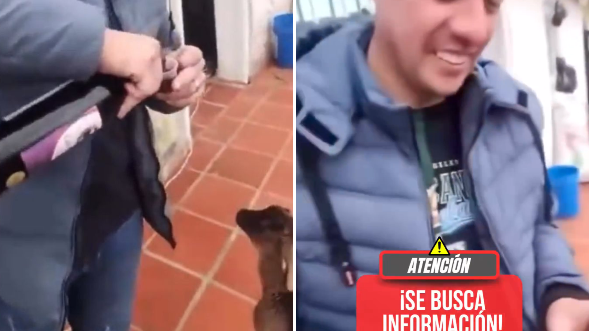 VIDEO | Hombre le dan alcohol a una cabra en una fiesta en Colombia