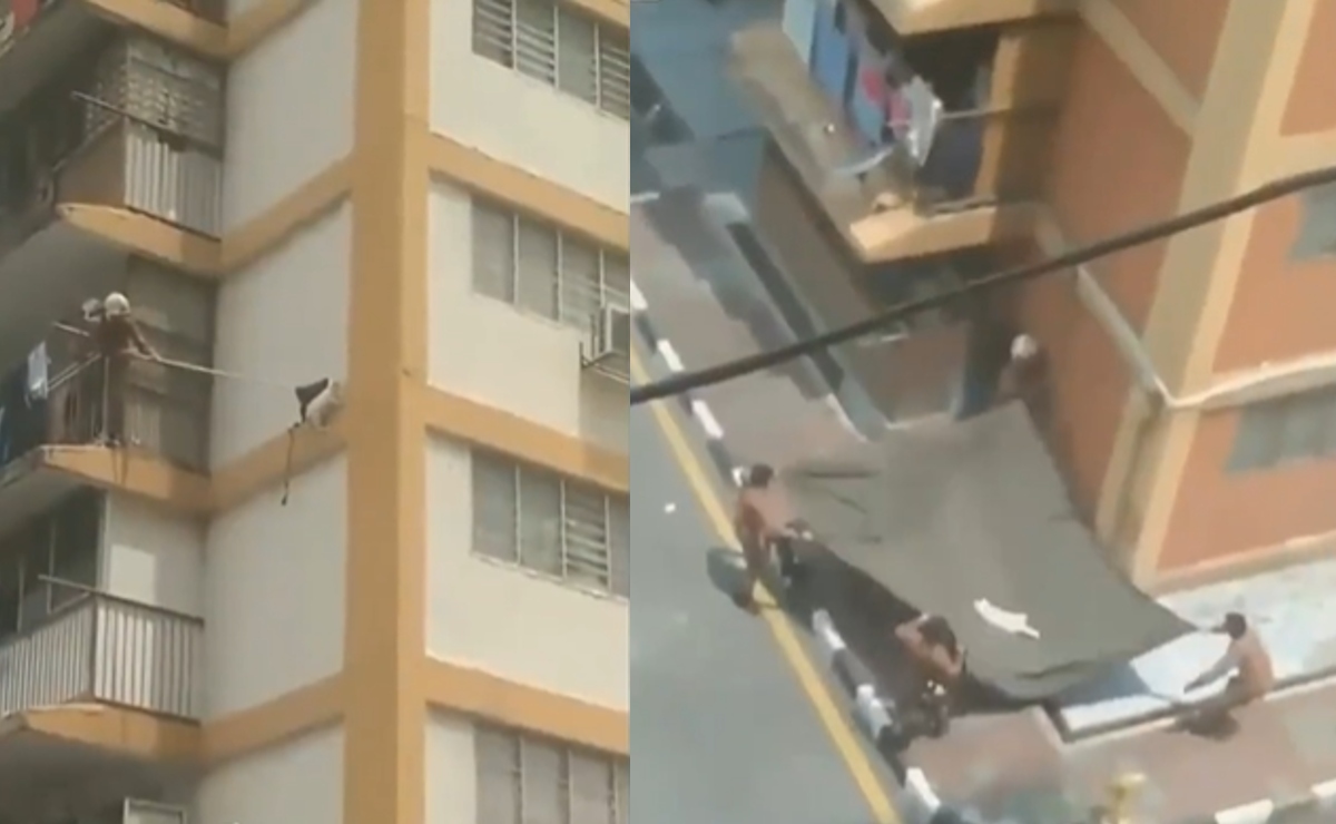 Colonos se unen y rescatan a gato del décimo piso de un edificio