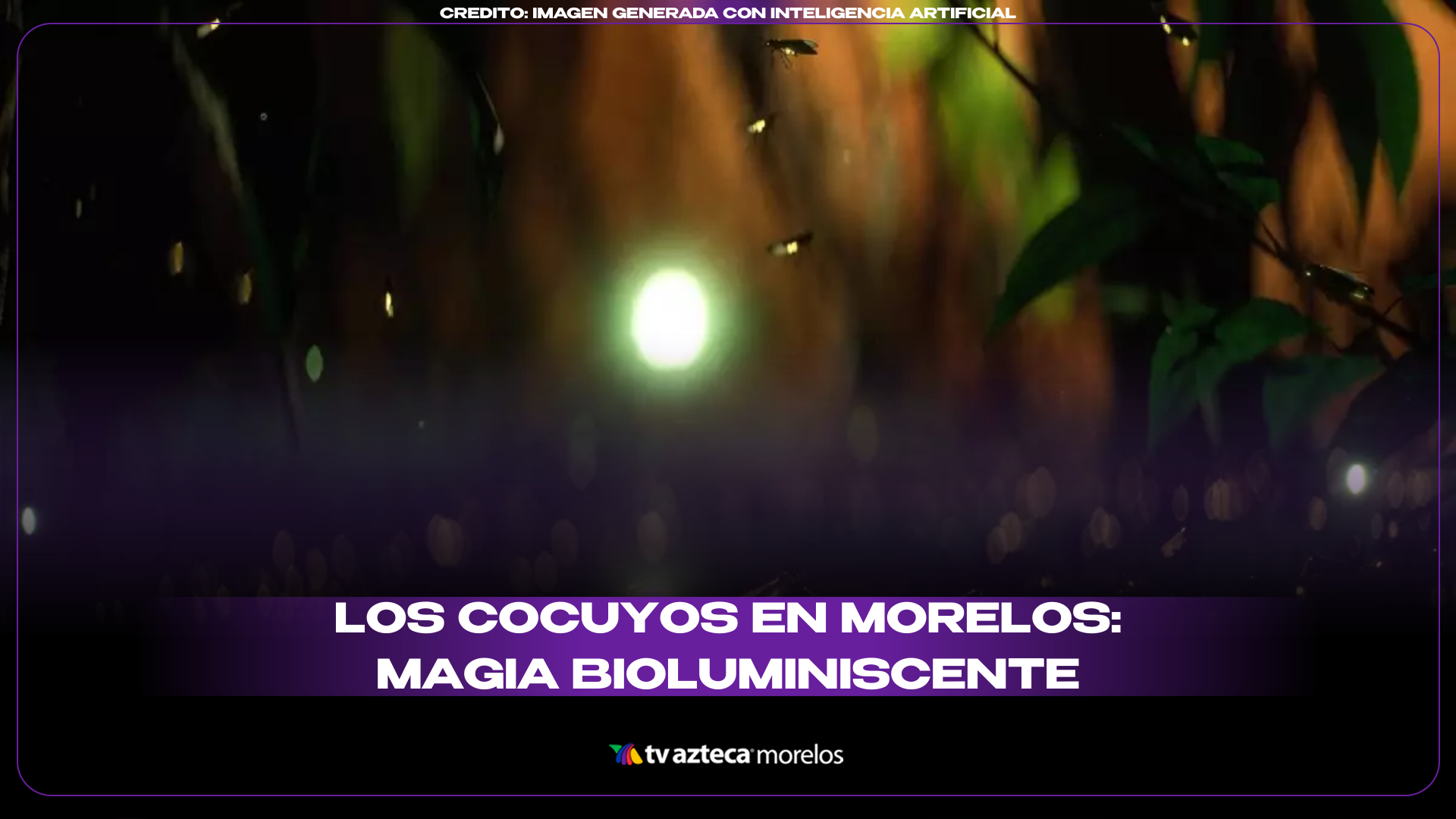 Los cocuyos en Morelos: magia bioluminiscente