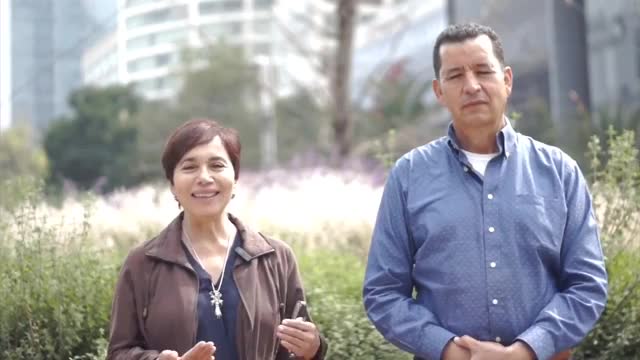 Follaje del ahuehuete de Reforma brotaría en primavera