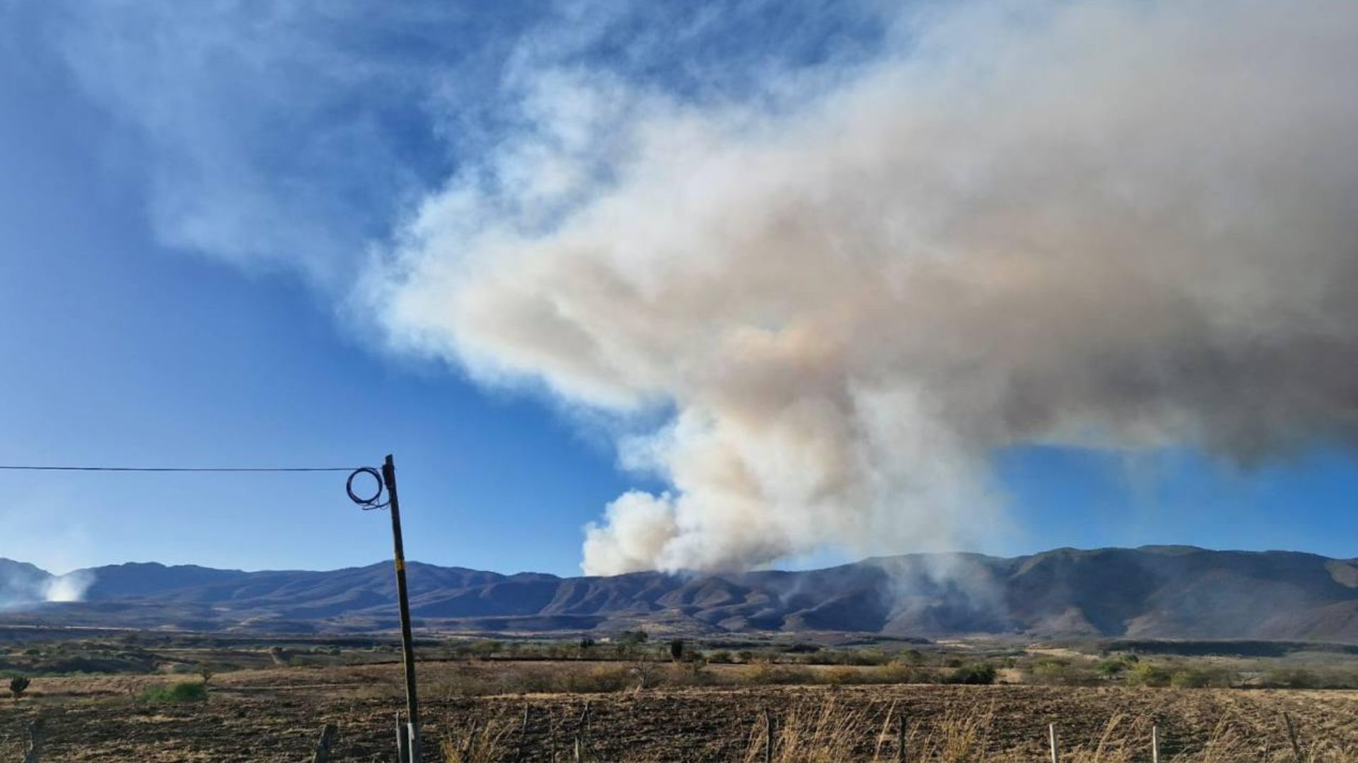 ¿cómo Está La Calidad Del Aire En Guadalajara Hoy Reporte Oficial Delemk 1955