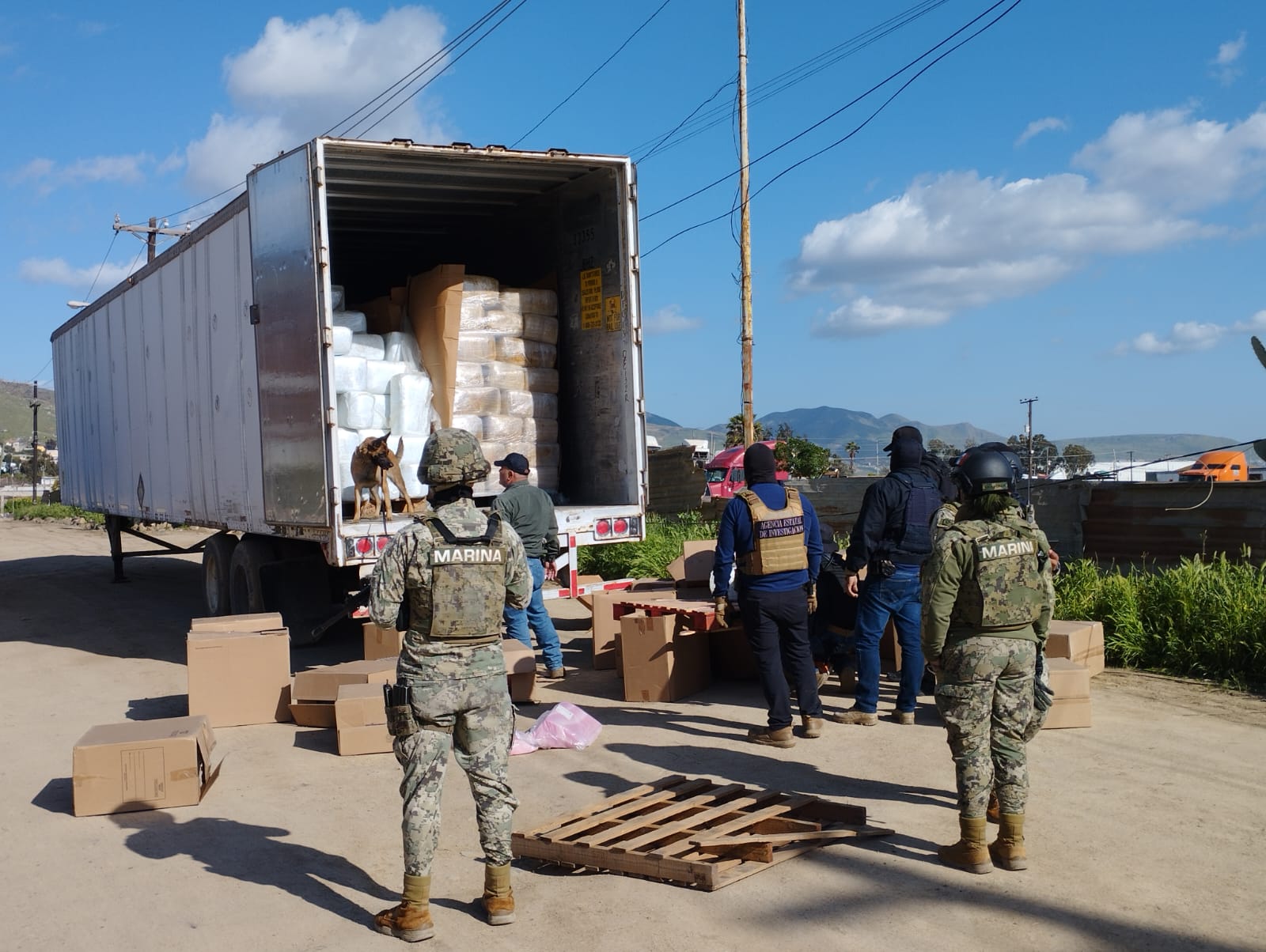 Aseguran marihuana en Tijuana, era transportada en un tráiler