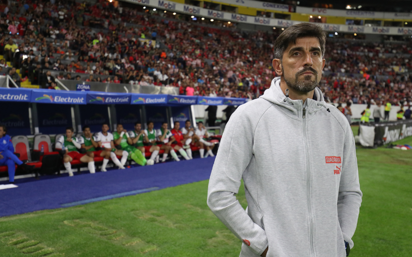 Veljko Paunovic busca seguir con la cosecha de títulos en Tigres