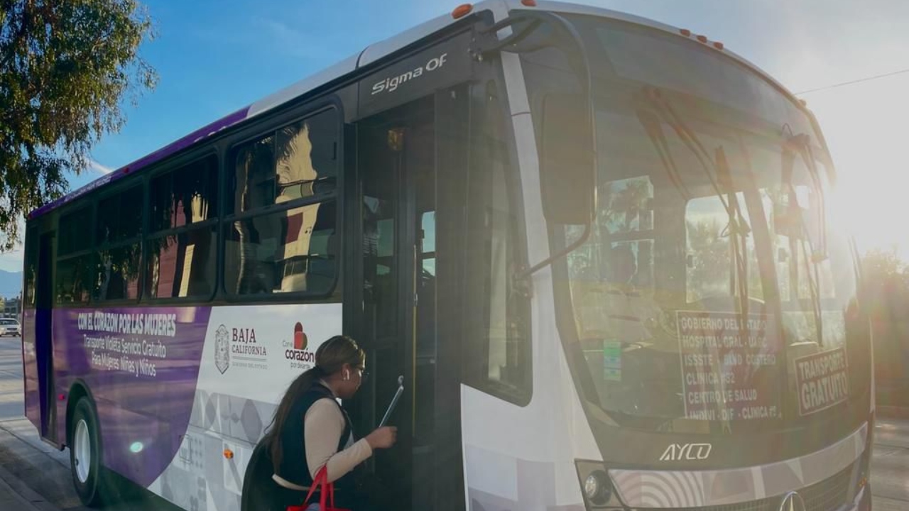 Captan a chofer de Ruta Violeta en Baja California viendo videos ...