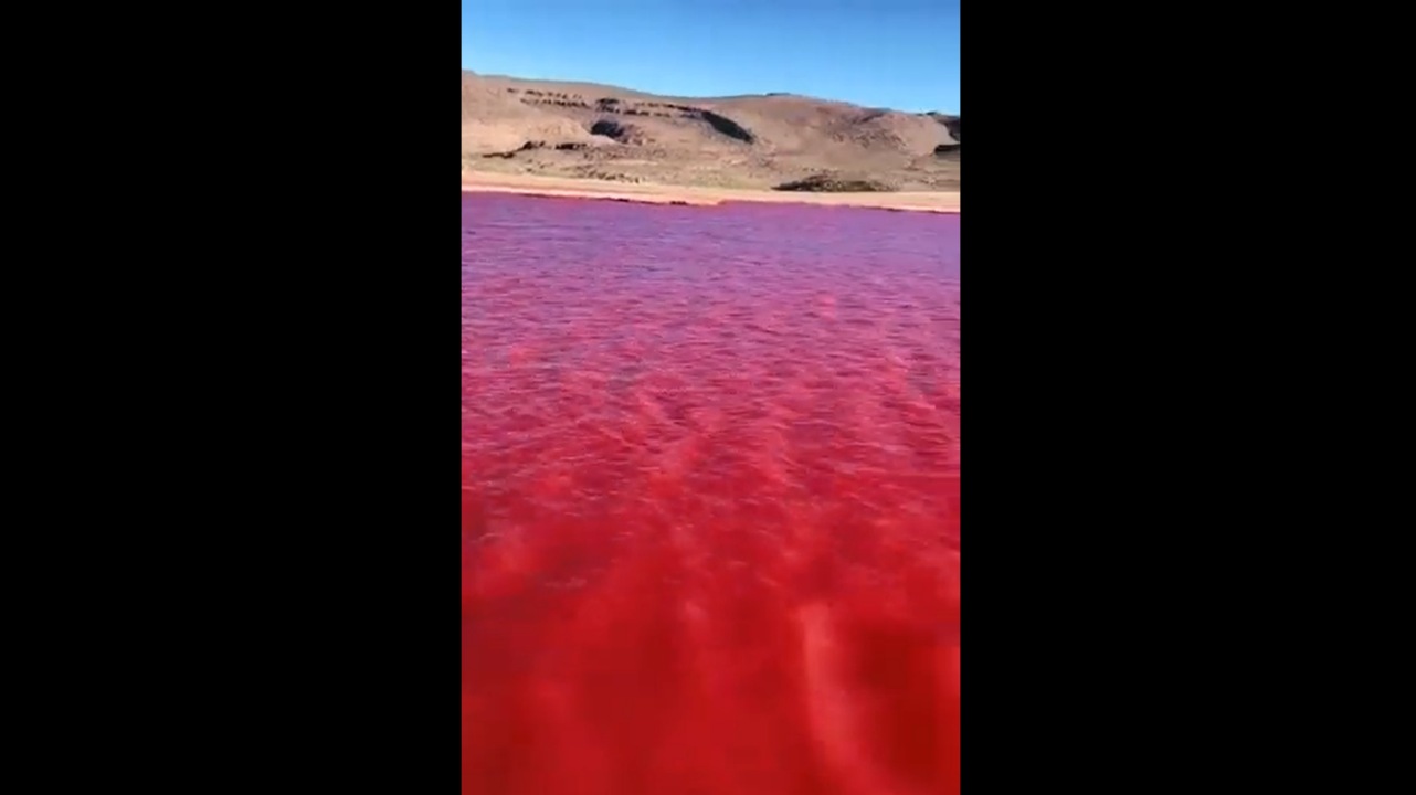 ¿El río Nilo teñido de rojo es real? Por este motivo las aguas se ...