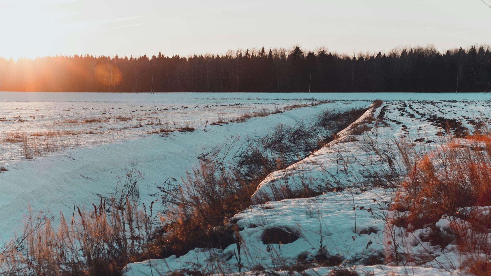 ¿Cuándo llega el Frente Frío 13 a México y en cuáles estados lloverá?