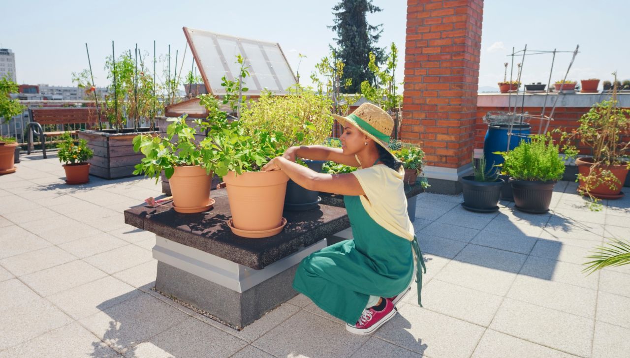 Cómo construir una azotea verde y qué beneficios tiene
