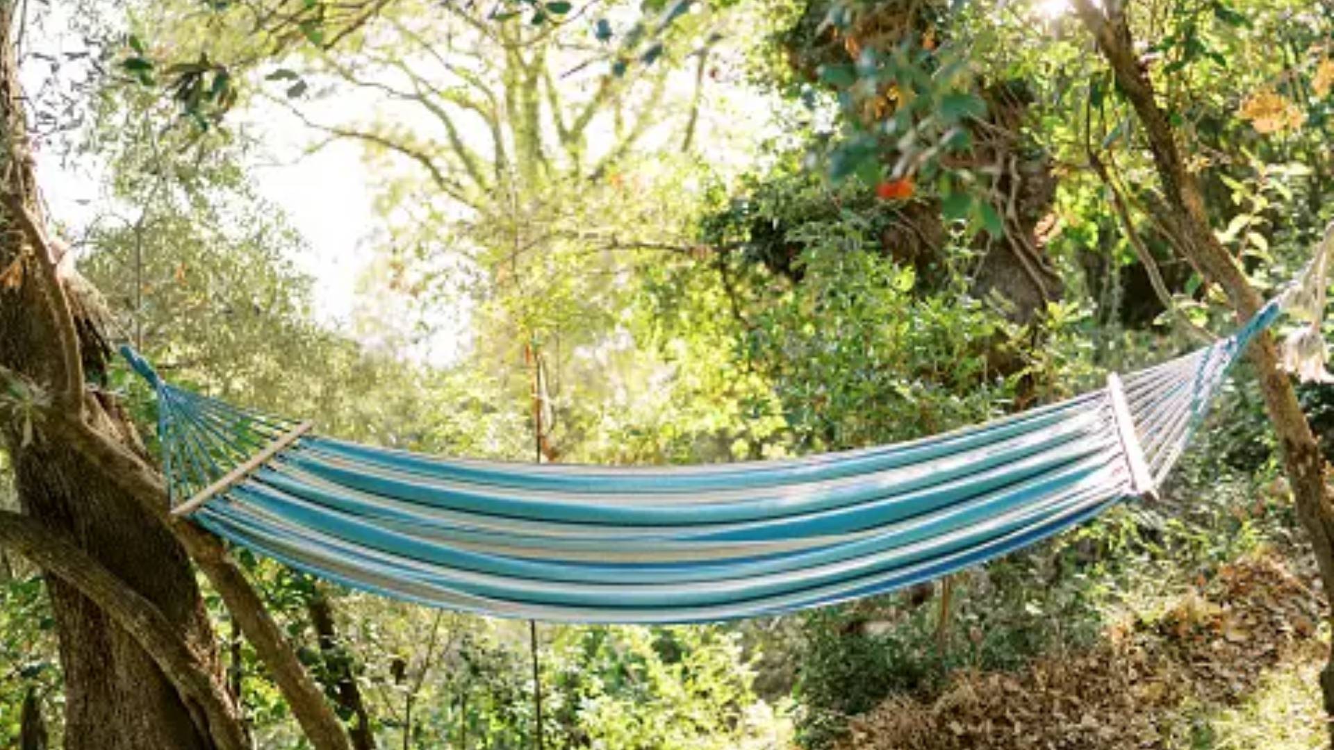 Efemérides 22 de julio: Esto se celebra en México y el Mundo