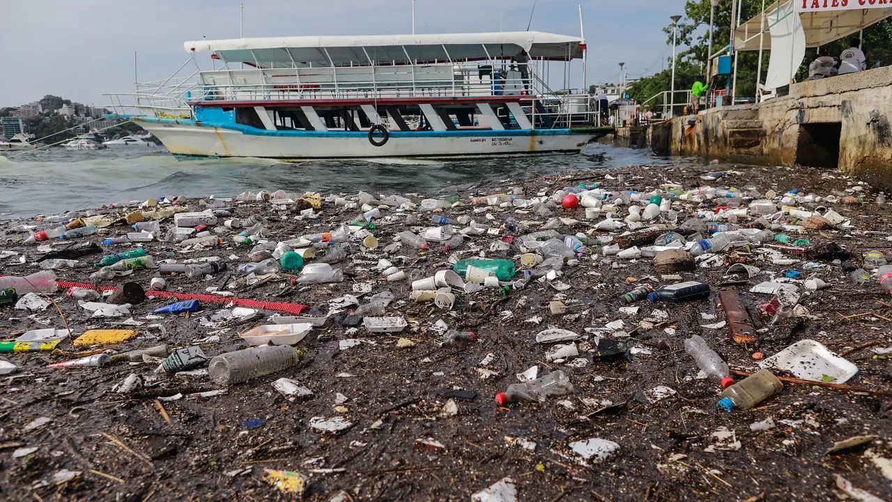 Playas más contaminadas de México, evita visitarlas en Semana Santa 2025