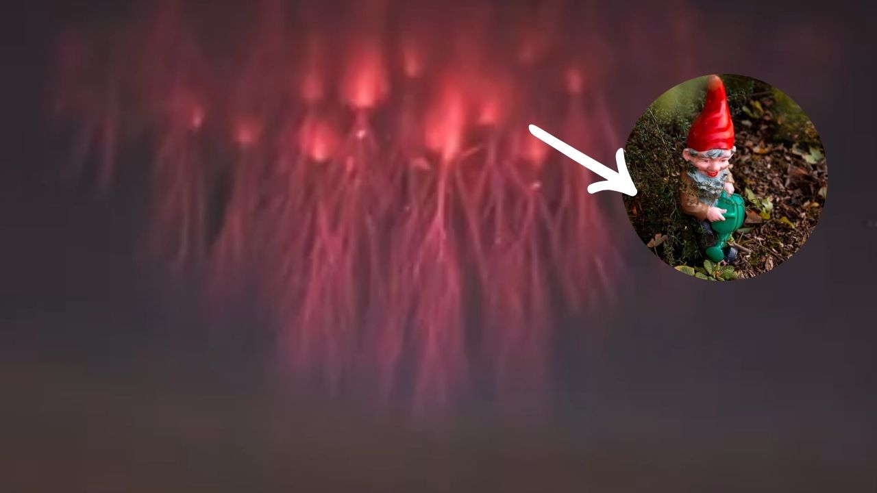 ¿Qué son los "Duendes Rojos", los cuales serán estudiados por la NASA ...