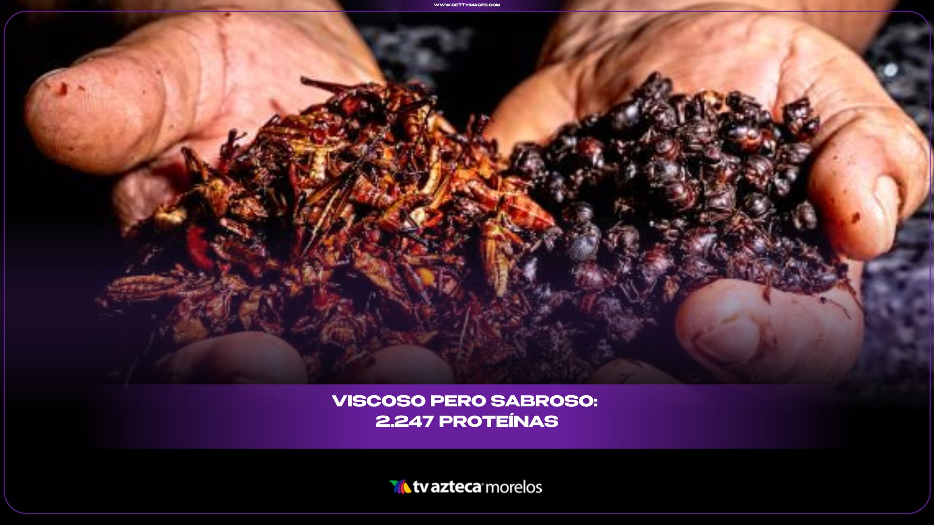 Chicatanas: Hormigas voladoras como manjar gourmet