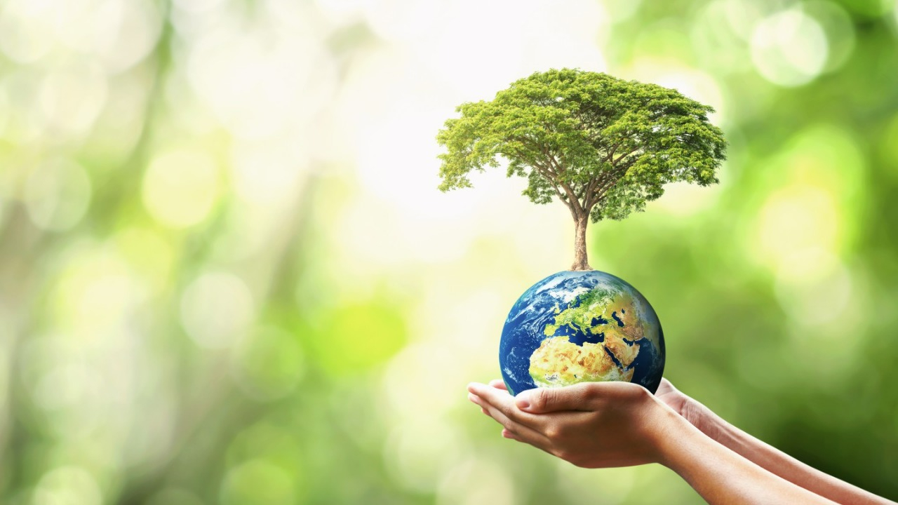 Día de la Tierra: ¿Cuándo y por qué se celebra?