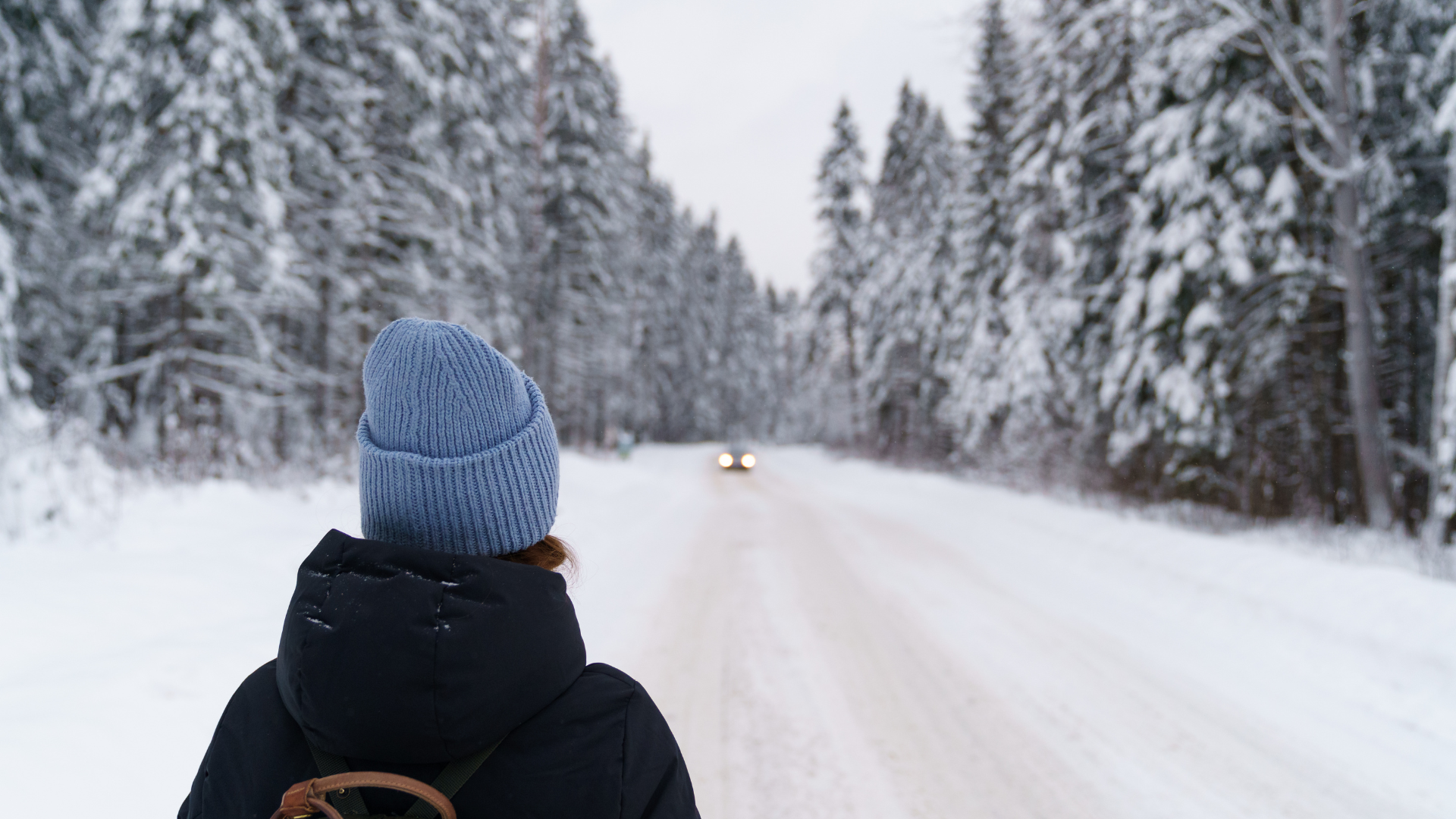 Así es como puedes llegar al Nevado de Toluca desde Guanajuato