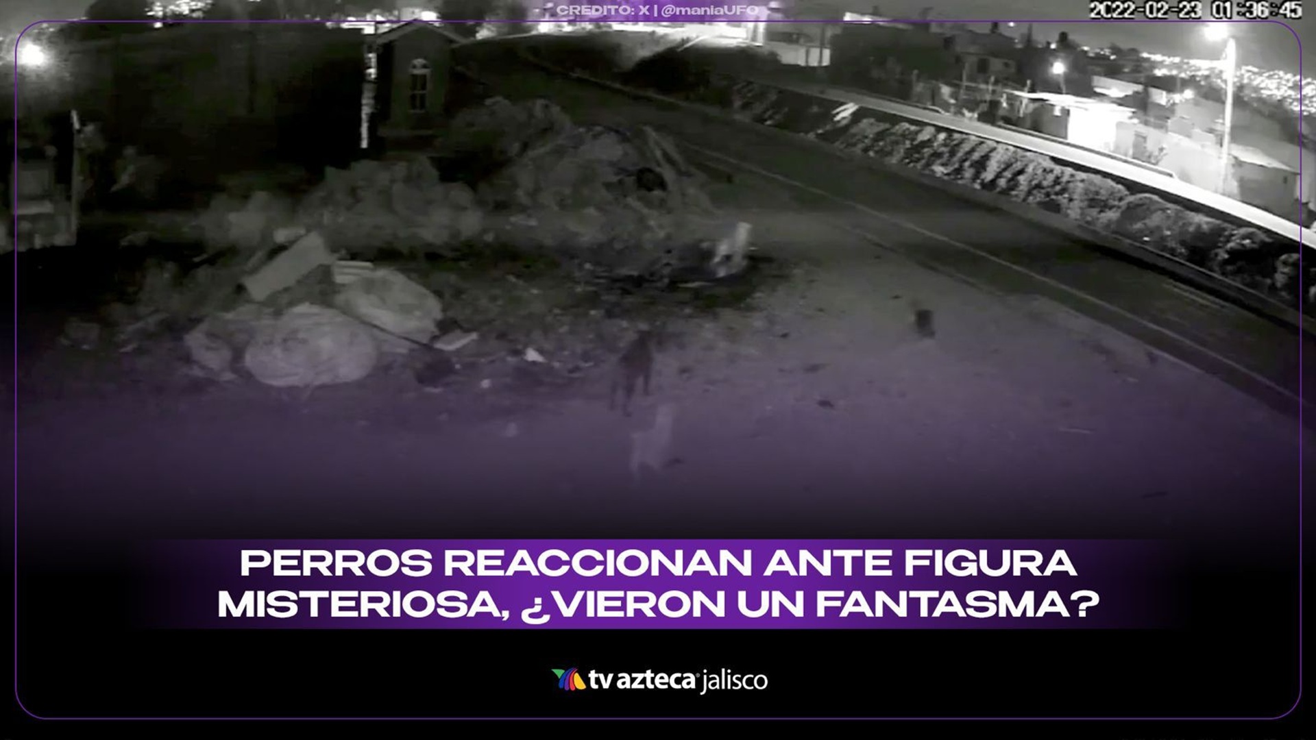 Video paranormal: perros reaccionan a misteriosa figura nocturna en el ...