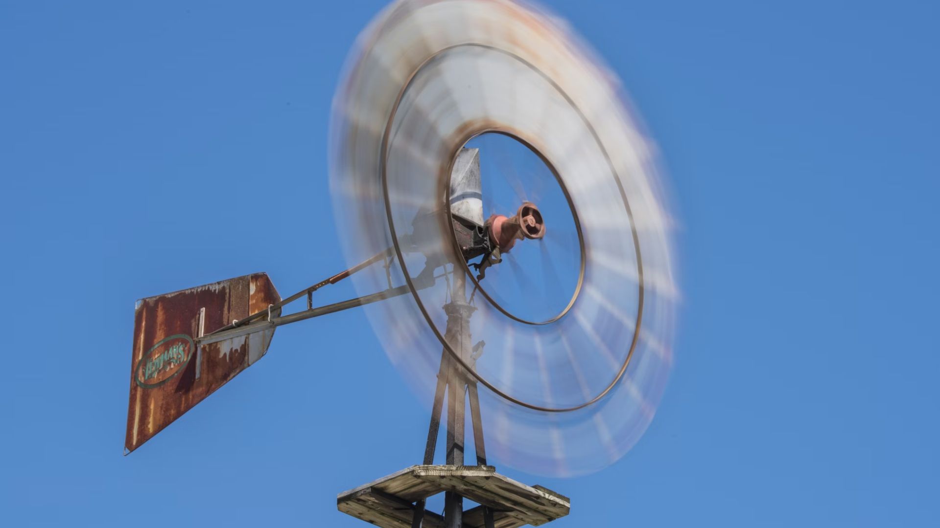 Anemofobia: conoce los síntomas de esta fobia al viento