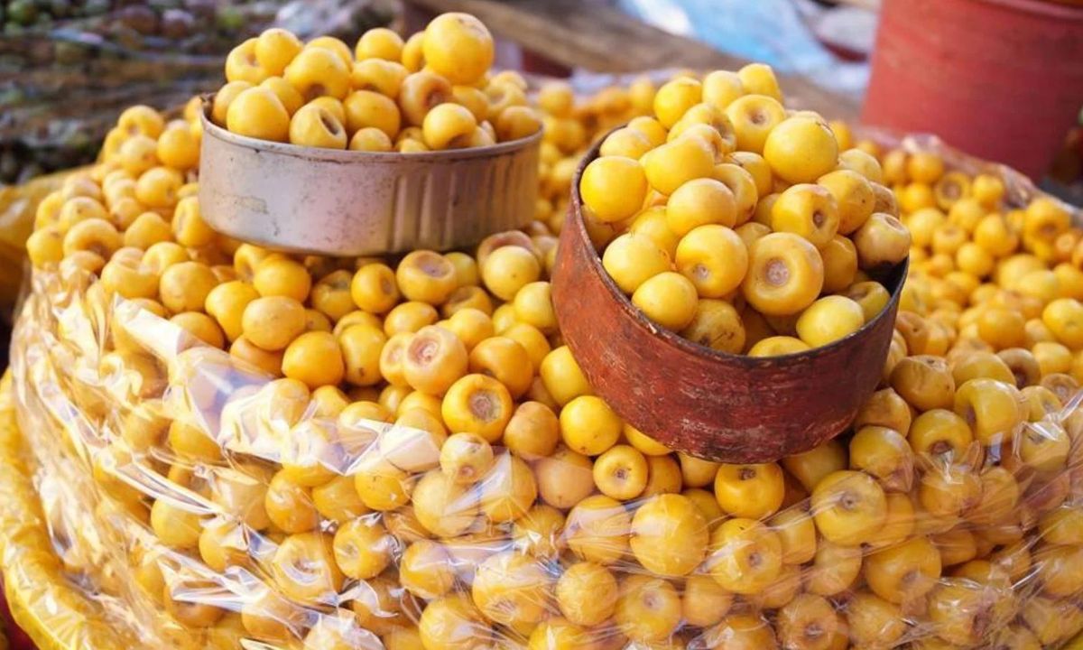 Temporada de nanche en Veracruz: ¿cuándo inicia?