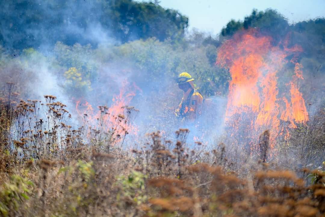 Liquidan Seis Incendios Forestales Y Se Mantienen Tres Activos En