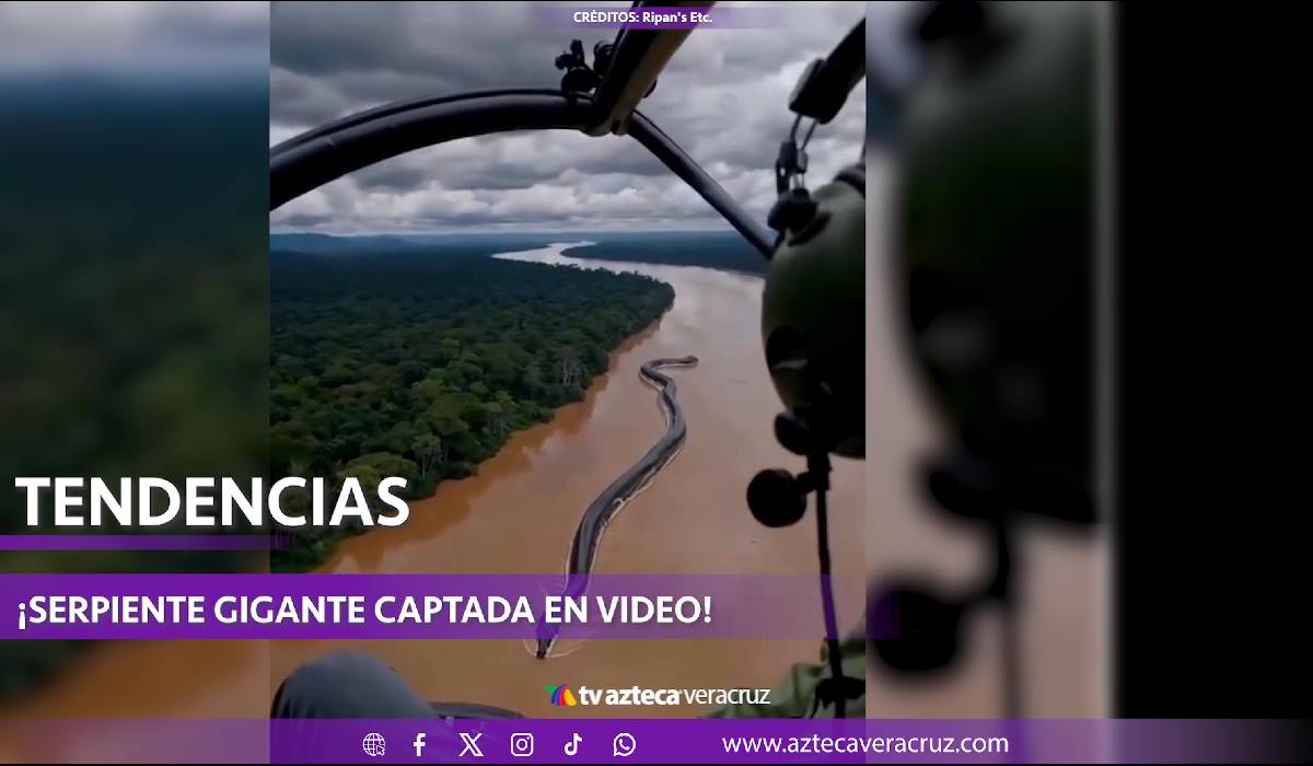 ¿Es real la serpiente gigante captada en video?