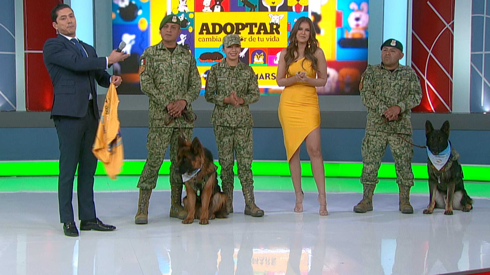 Al Extremo: Programa completo semana 8 2024