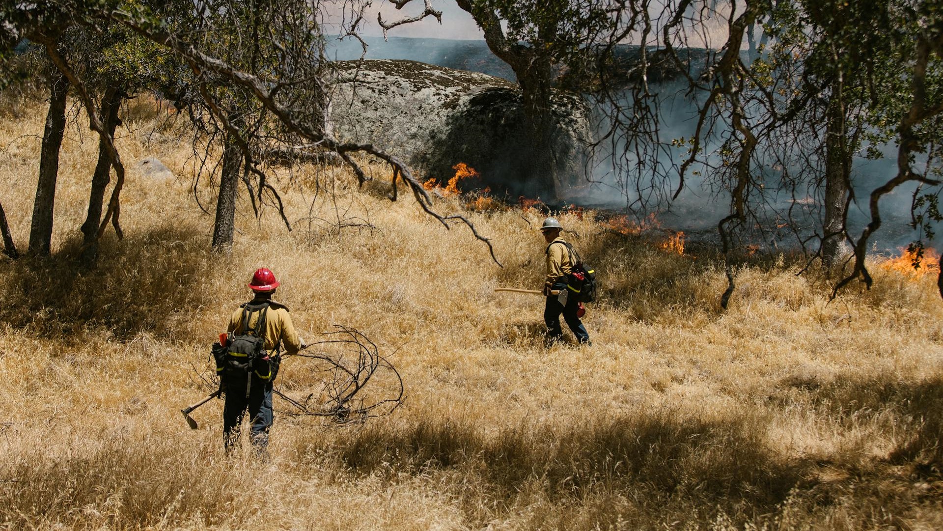Incendios en California: pronostican día peligroso por fuertes vientos ...