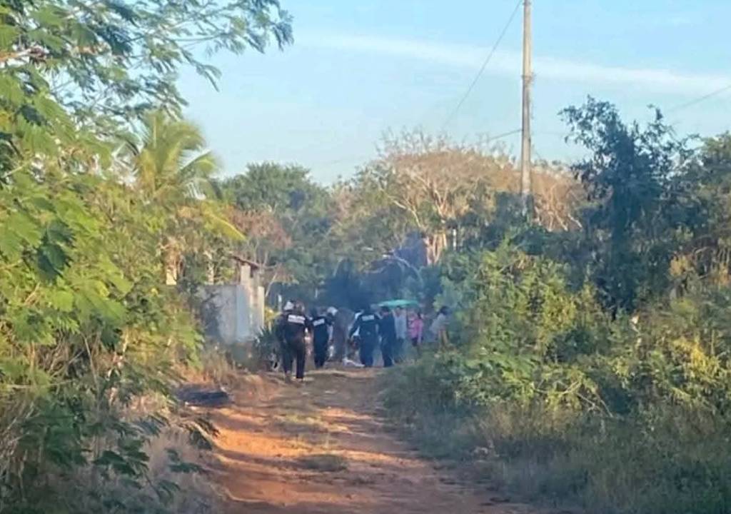 Ataque de abejas deja un muerto en Yucatán