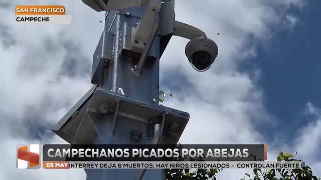 ¿Dónde se ubica el parque de Campeche donde se producen los ataques de ...