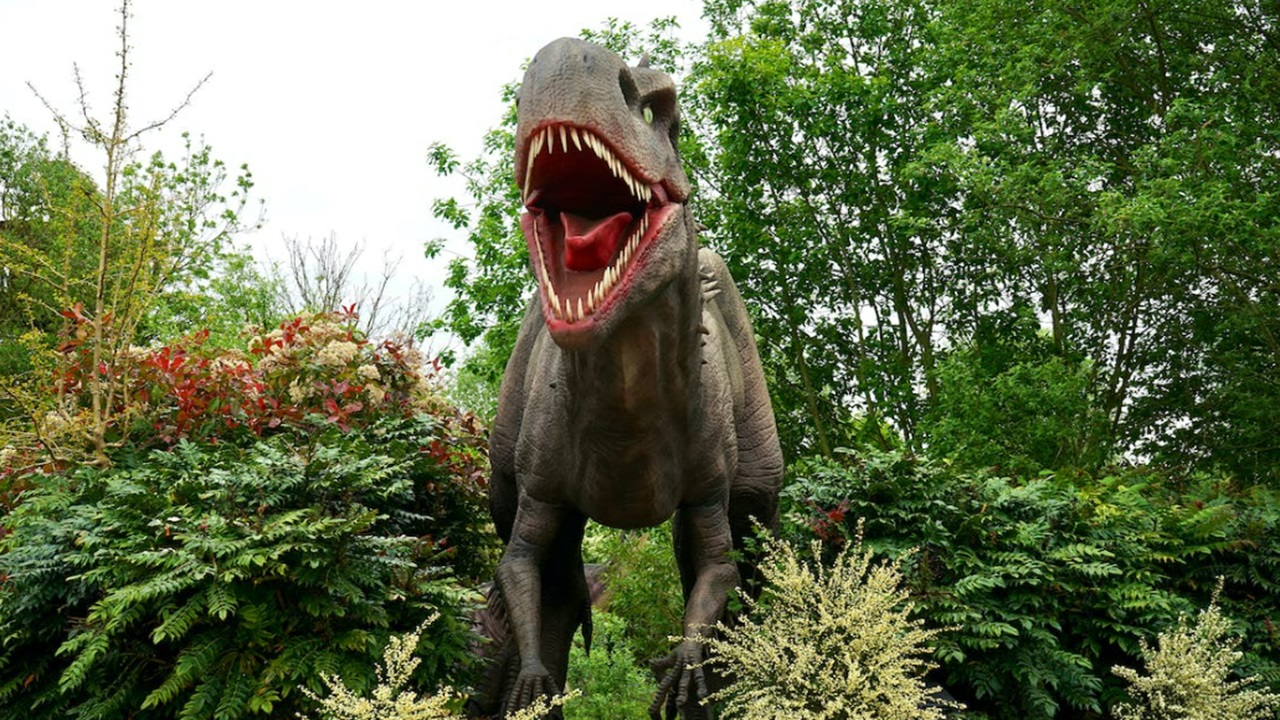 Los Dinosaurios no se han extinto y siguen entre nosotros