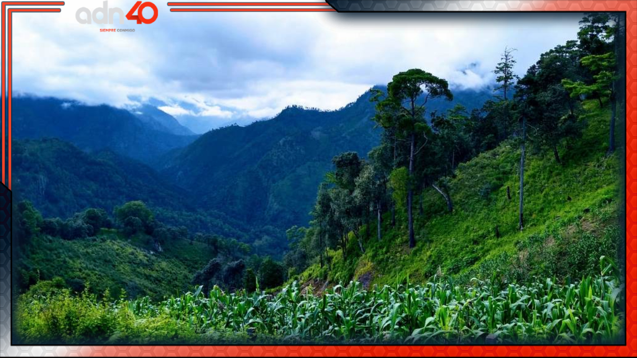 Guerrero aprueba región económica: Sierra como octava