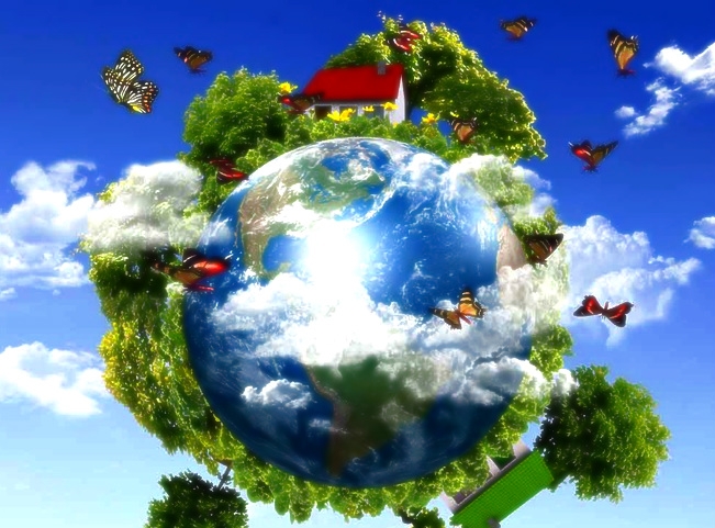 Ley de Responsabilidad Ambiental: por un entorno sano