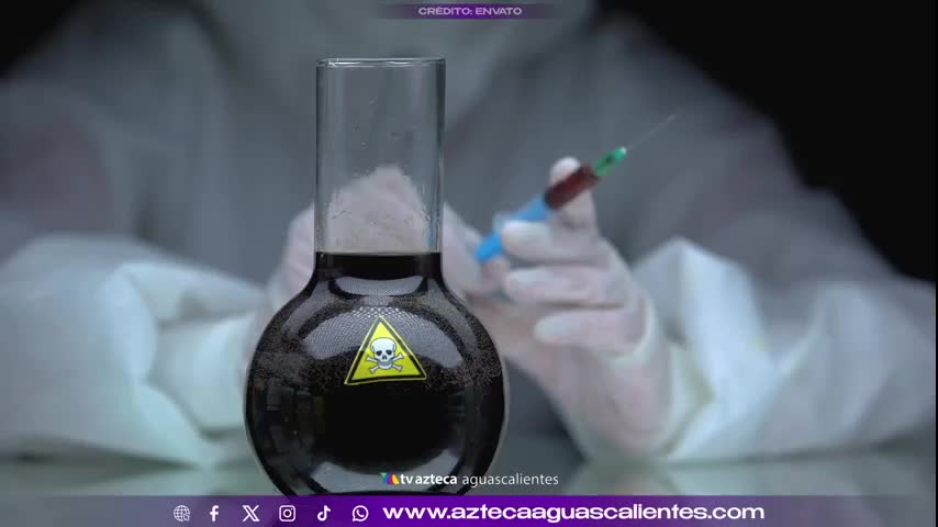 Cuáles son los venenos más mortales y cómo actúan en el cuerpo