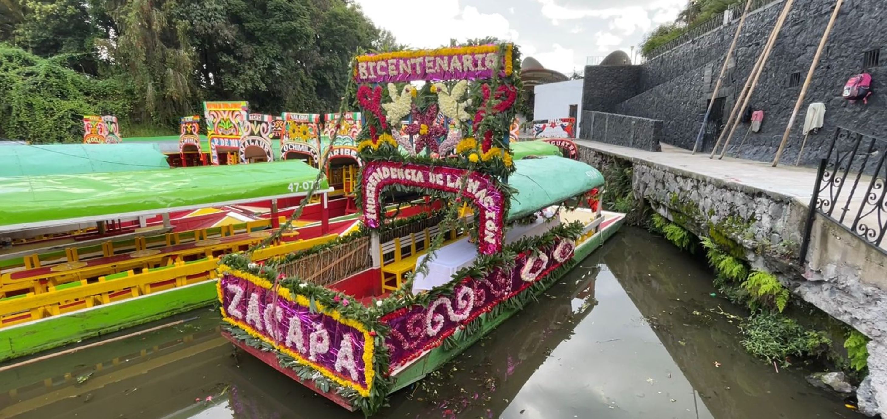 Xochimilco planta ahuehuetes por bicentenario de la independencia