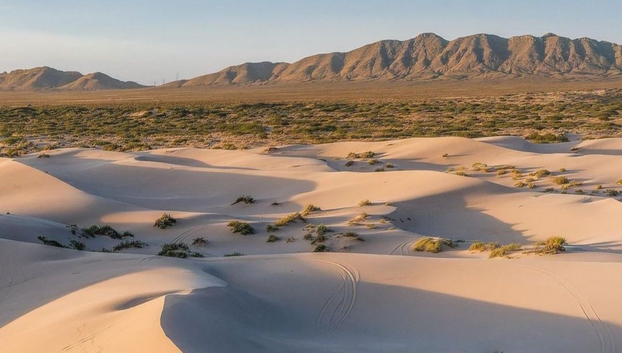 Las Dunas en Samalayuca, el lugar ideal para las vacaciones de semana ...