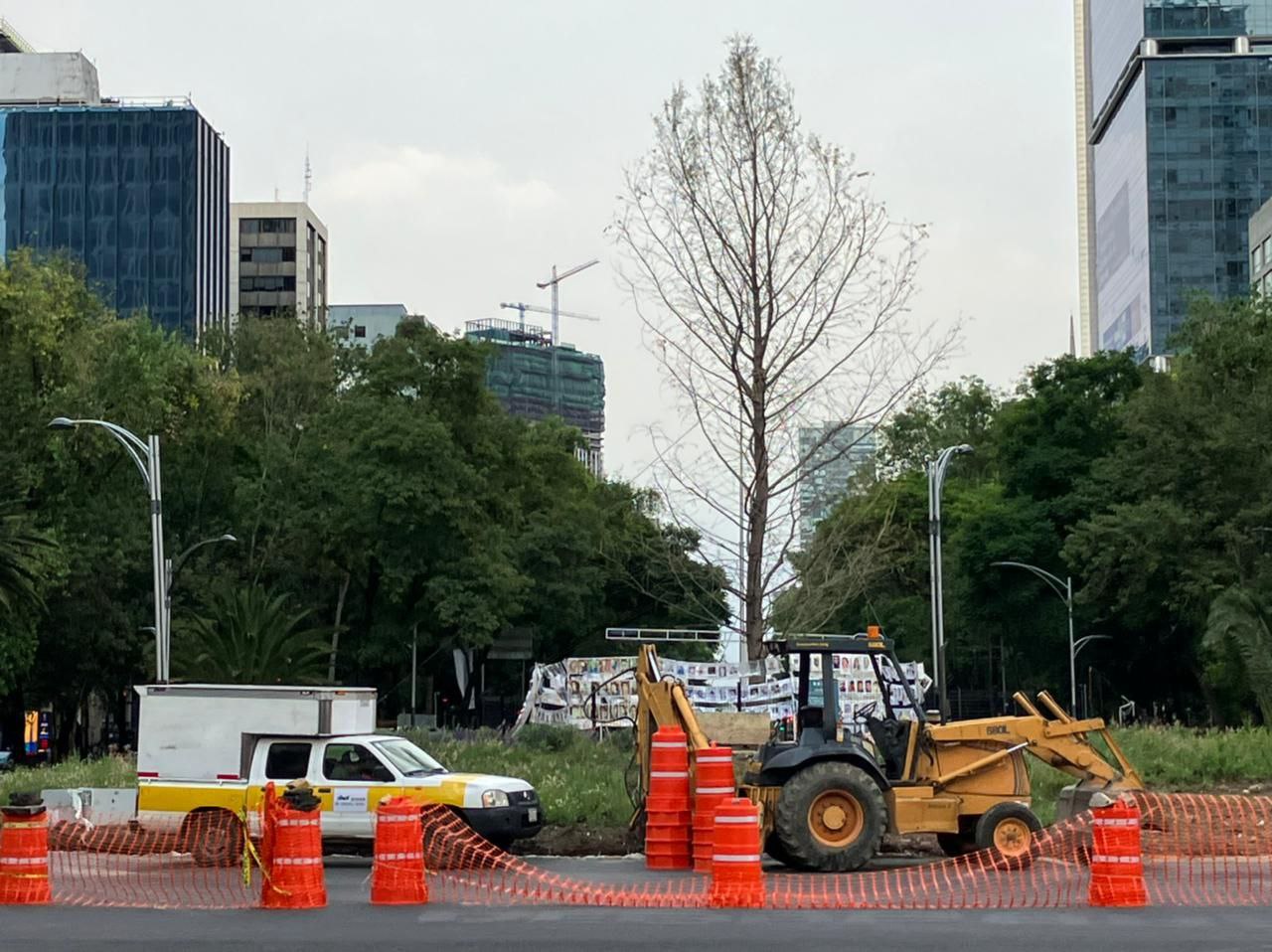 Amplían glorieta alrededor del Ahuehuete de Reforma