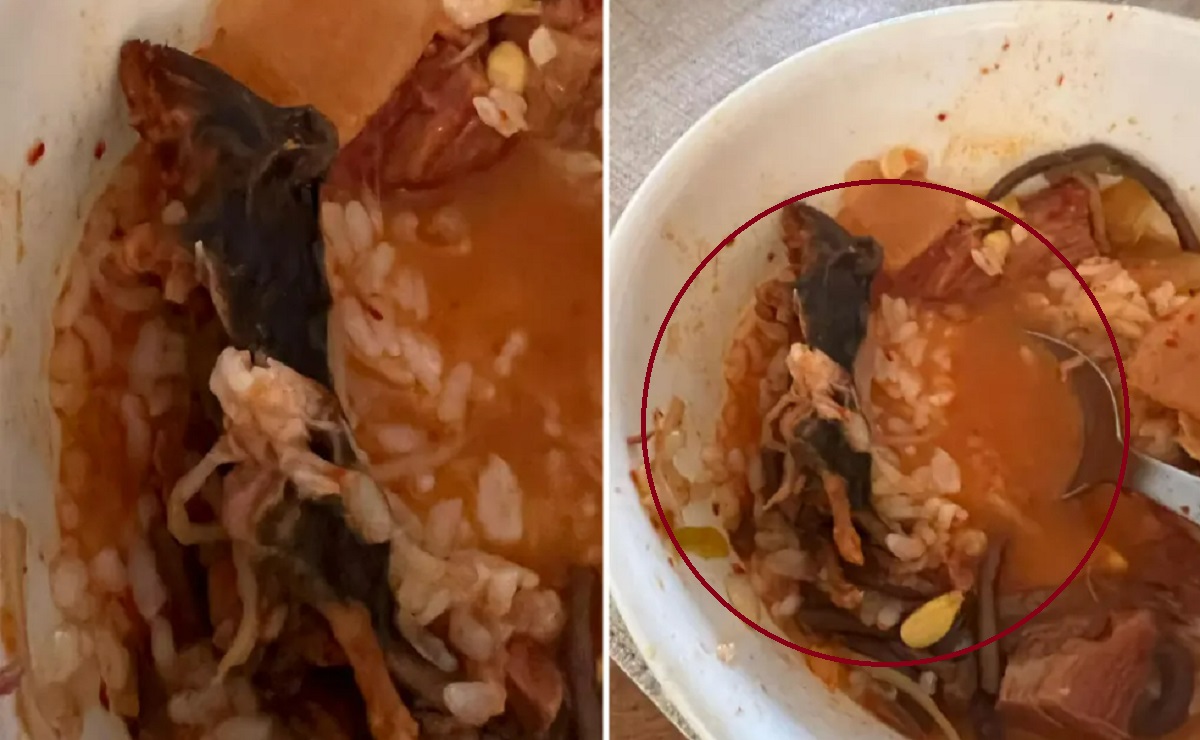 Pareja encuentra una rata en su comida, esto pasó