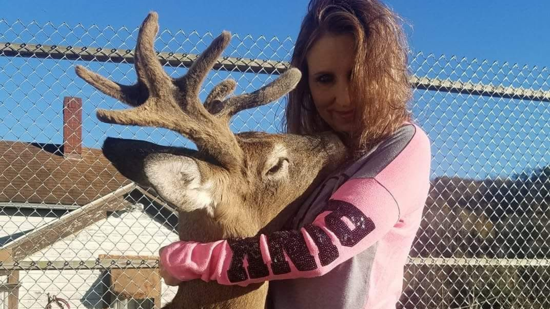 Activista estadounidense muere tras ser atacada por un venado que había ...