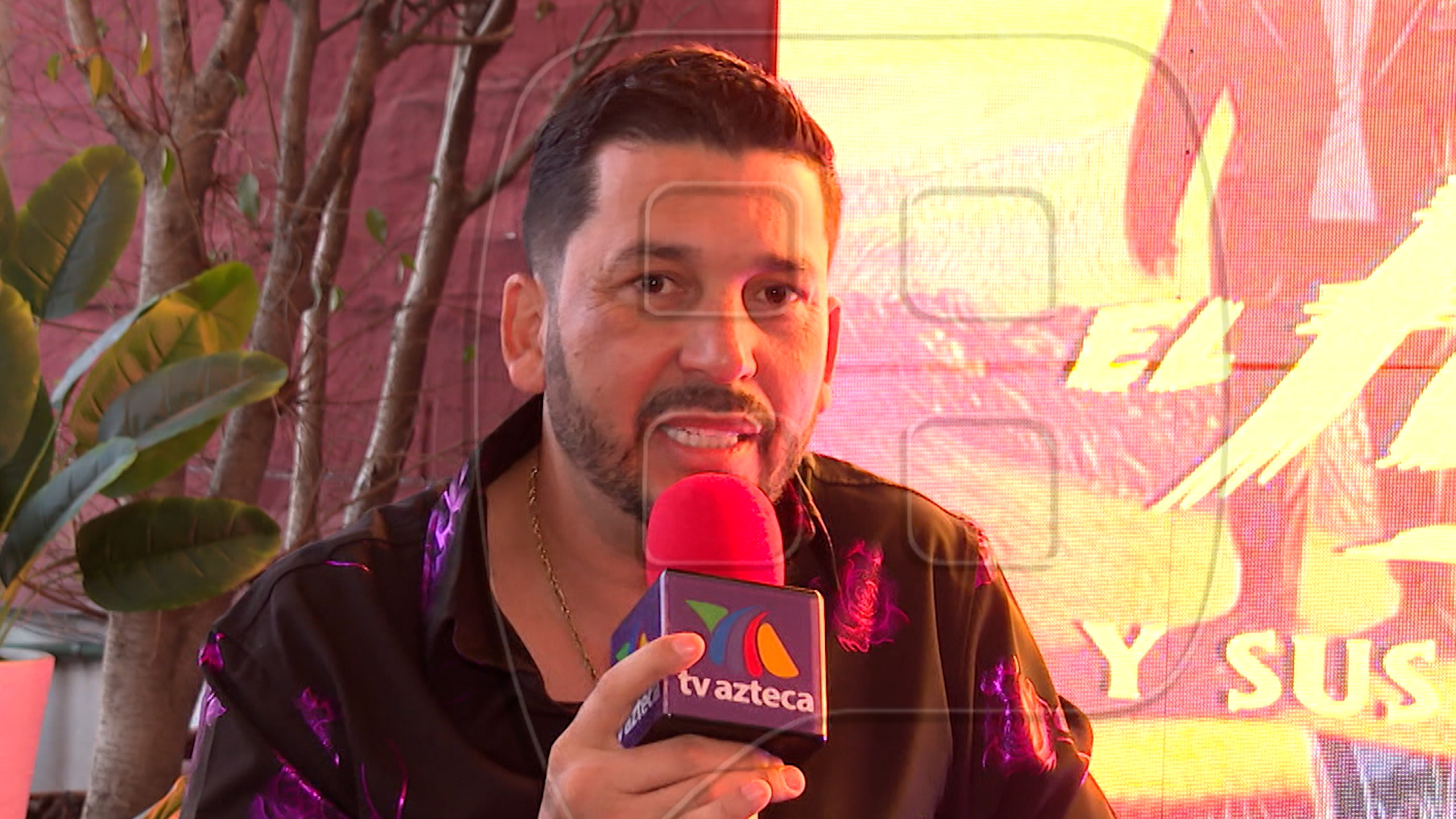 En Exclusiva: Luis Ángel ‘El Flaco’ confirma que hará un álbum homenaje ...