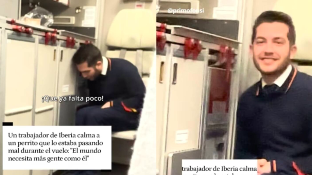 Sobrecargo calma a perrito asustado en vuelo, video viral