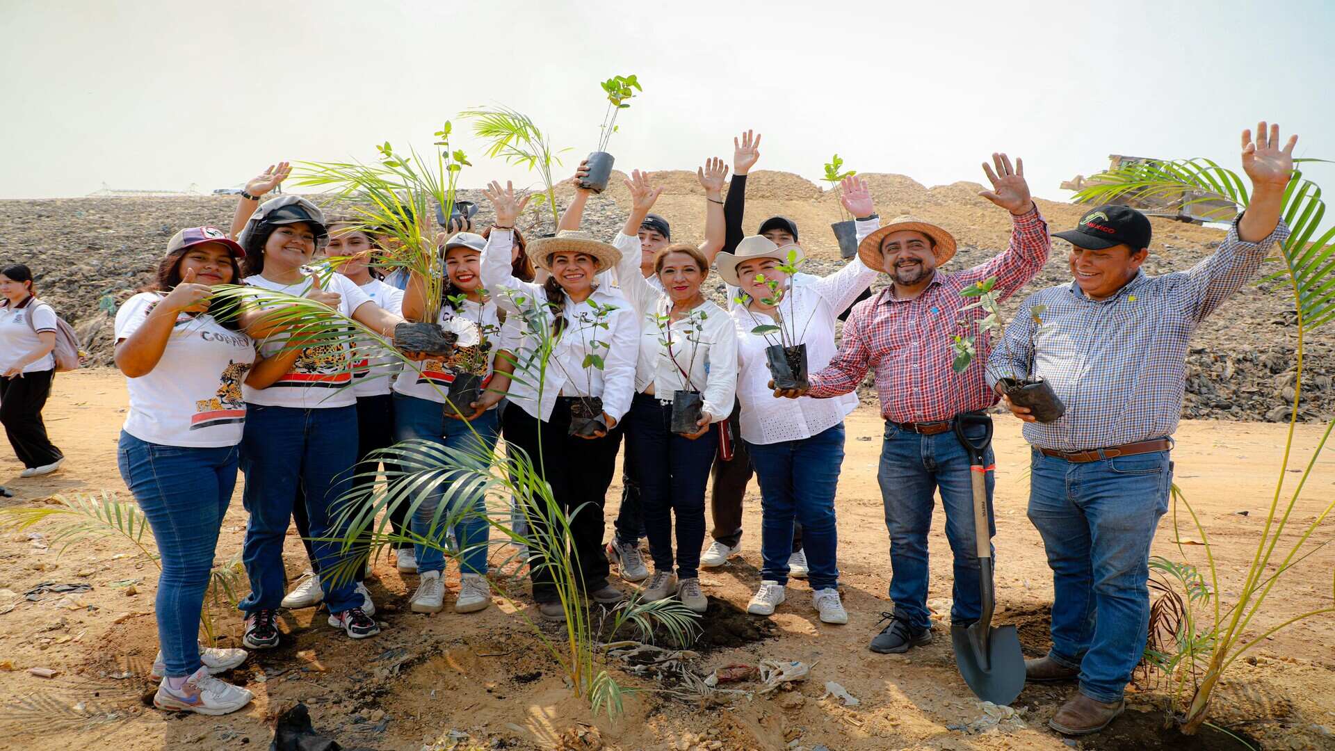 Reforestación en Las Matas