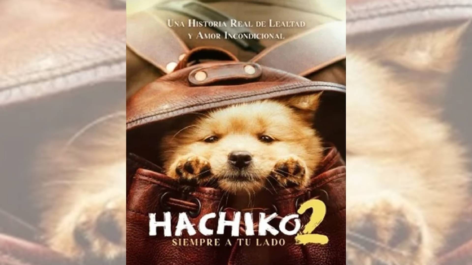 'Hachiko 2: Siempre a tu lado': Fecha de estreno en cines, sinopsis y ...