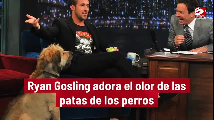 Ryan Gosling disfruta el olor de las patas de los perros