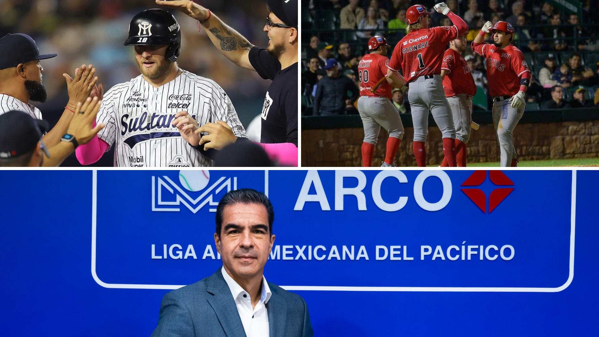 ¿Se van los Mayos de Navojoa? Los cambios que tendrá la Liga Mexicana ...